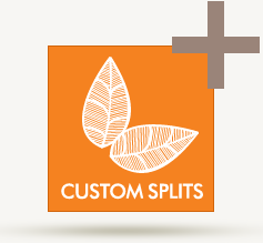 Wilcom Elements Custom Splits