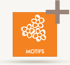 Wilcom Elements Motif